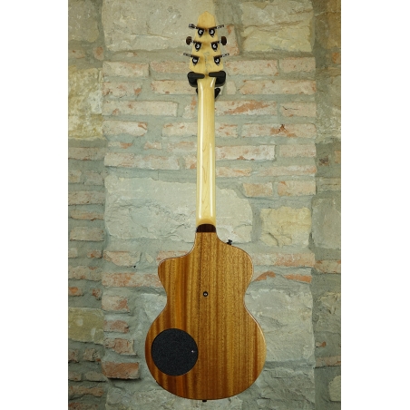 RICK TURNER Model 1-C-LB Lindsey Buckingham + Piezo - 2016 - Hand Made ...