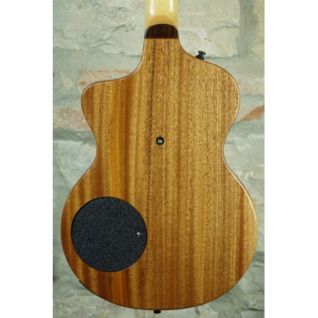 RICK TURNER Model 1-C-LB Lindsey Buckingham + Piezo - 2016 - Hand Made ...