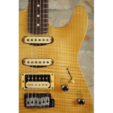 FENDER CUSTOM SHOP Stratocaster "Showmaster" Carved Top HSS - 1996 ...