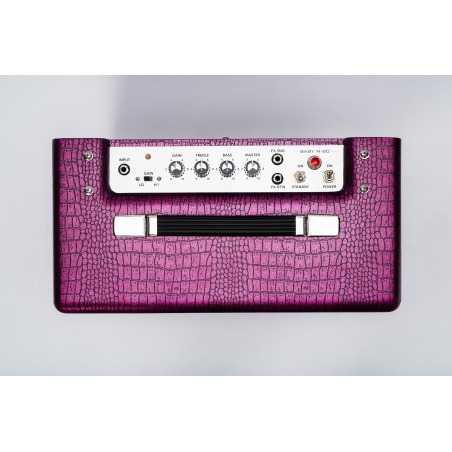 MAGNATONE Baby M80 Combo 1x10 12 Watts - Billy Gibbons Signature ...